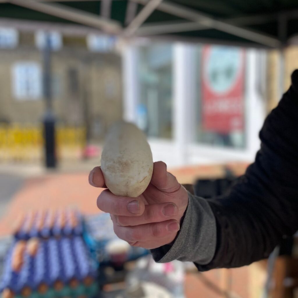 Discover Our Markets – Ely Markets